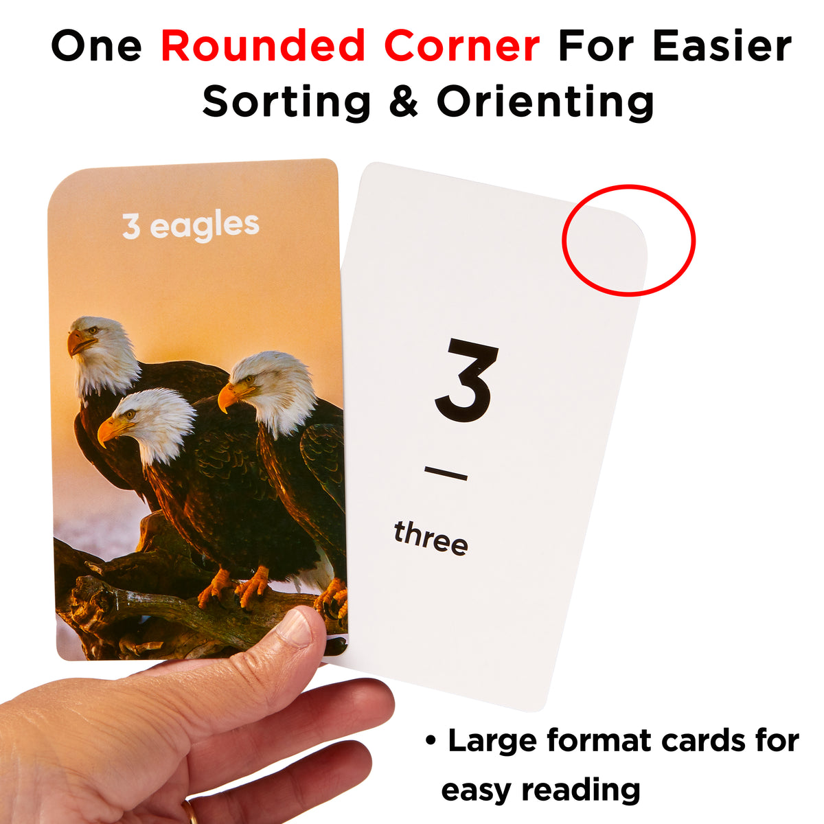 Numbers & Counting Flash Cards for Toddlers Ages 2+, Number 0-20, Tens ...